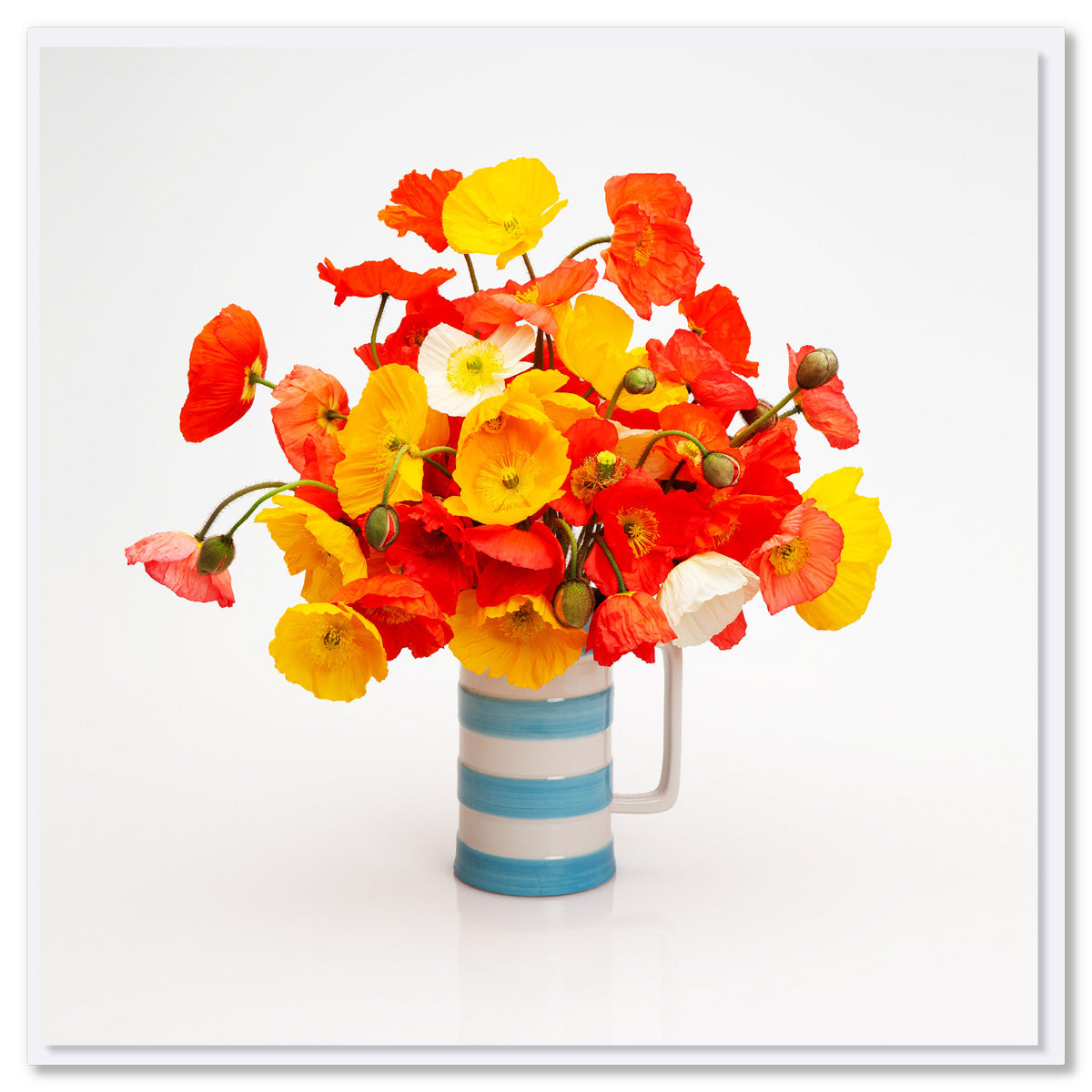 Poppy Jug - Pack of 6 Greeting Cards | GOLLY GOSH CREATIONS WHOLESALE – Golly Gosh Creations ...